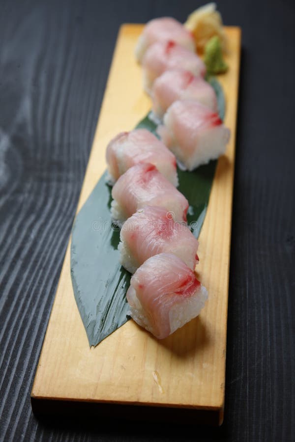 Red snapper pressed sushi stock photo. Image of delicacy - 146624492
