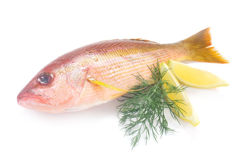 Red Snapper stock photo. Image of snapper, ingredient - 157766148