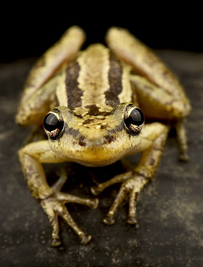 Matthijs Kuijpers (Mgkuijpers) - Photographer profile