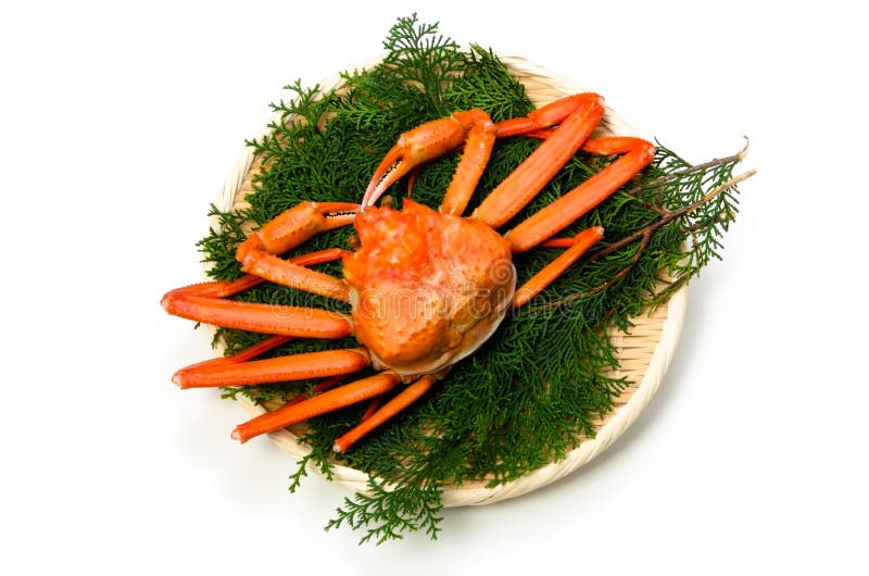 Red snow crab stock image. Image of food, eating, crustacean - 25042331