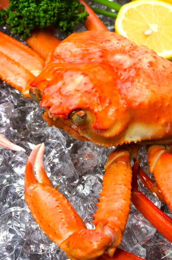 Red snow crab stock photo. Image of snow, seafood, organic - 25042378