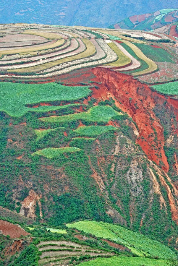 Red Soil stock photo. Image of harvest, rice, nature, soil - 8508868