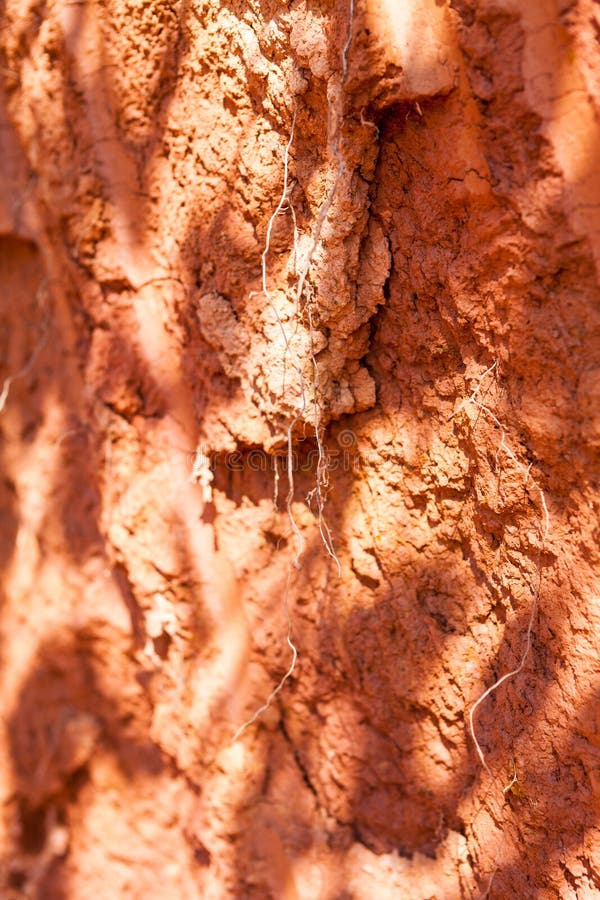 Red Soil Background at Seychelles Stock Photo - Image of background ...