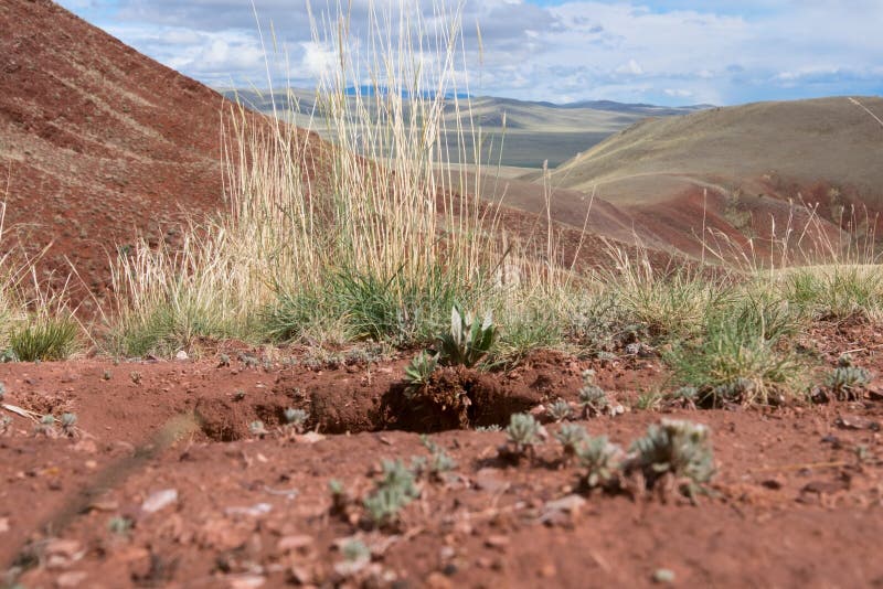 Red soil stock image. Image of grass, mountain, clay - 111924105