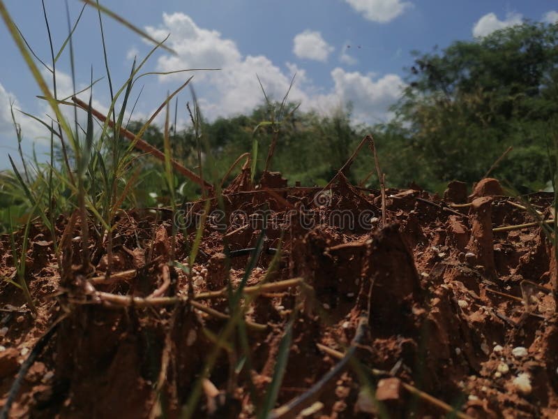 Red Soil Mud after Being Exposed To Heavy Rain Stock Photo - Image of ...
