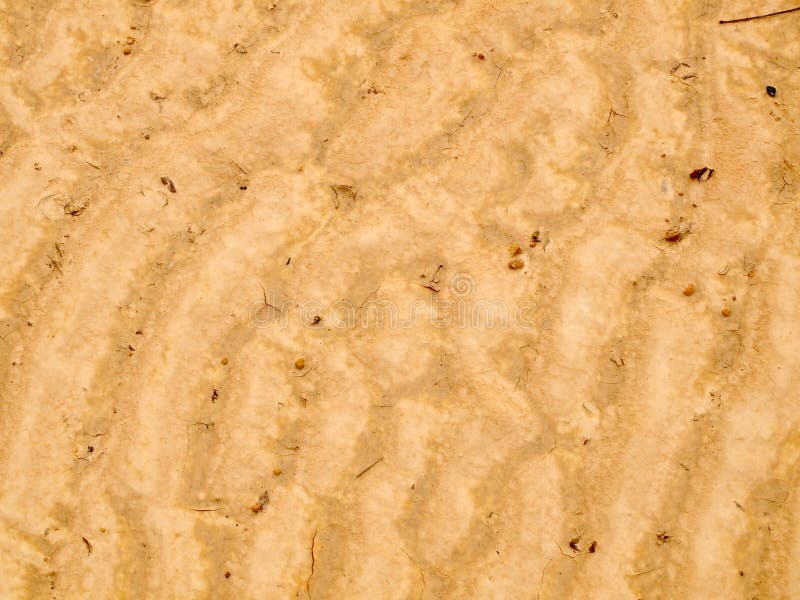 Red Soil Texture Background Stock Photo - Image of macro, field: 187316090