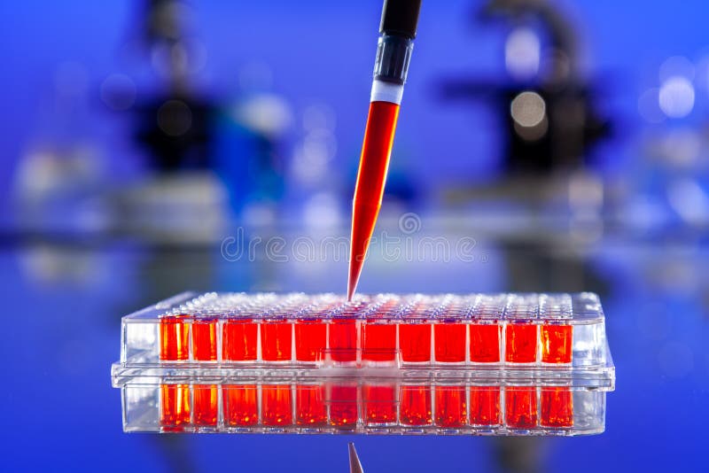 Red Solution or Blood Scientific Research with a Pipette and Cell Plate ...