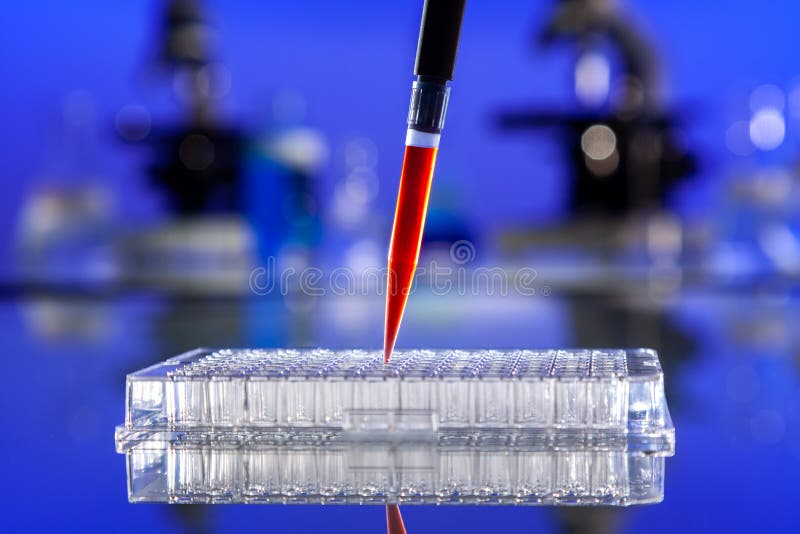 Red Solution or Blood Scientific Research with a Pipette and Cell Plate ...