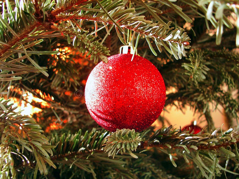 The Red Sphere Hangs on Christmas Tree Stock Image - Image of home ...