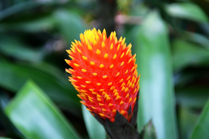 Kenliu - Photographer profile