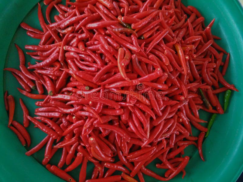 732 Fresh Green Chilli Tray Stock Photos - Free & Royalty-Free Stock ...