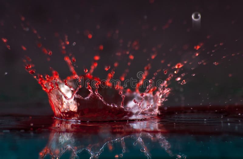 Red Splash stock image. Image of flavoring, nature, macro - 16721705