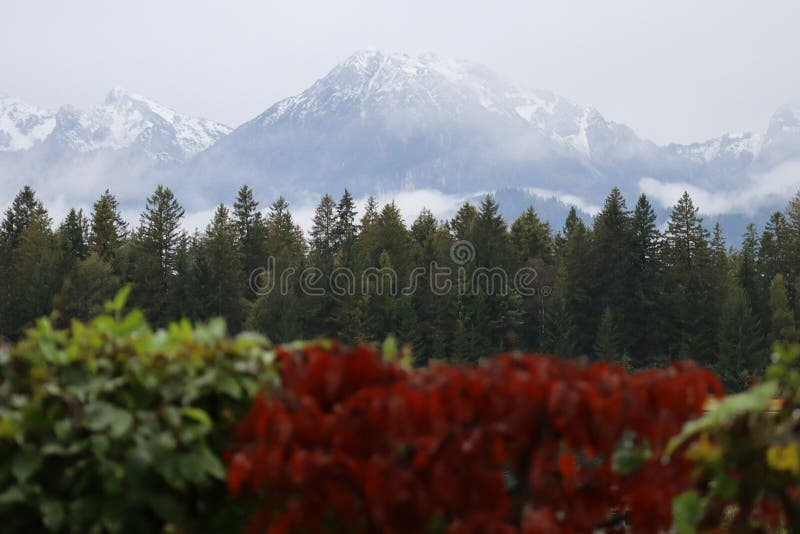 Red Splash of Color in the Autumn Mountains Stock Photo - Image of late ...