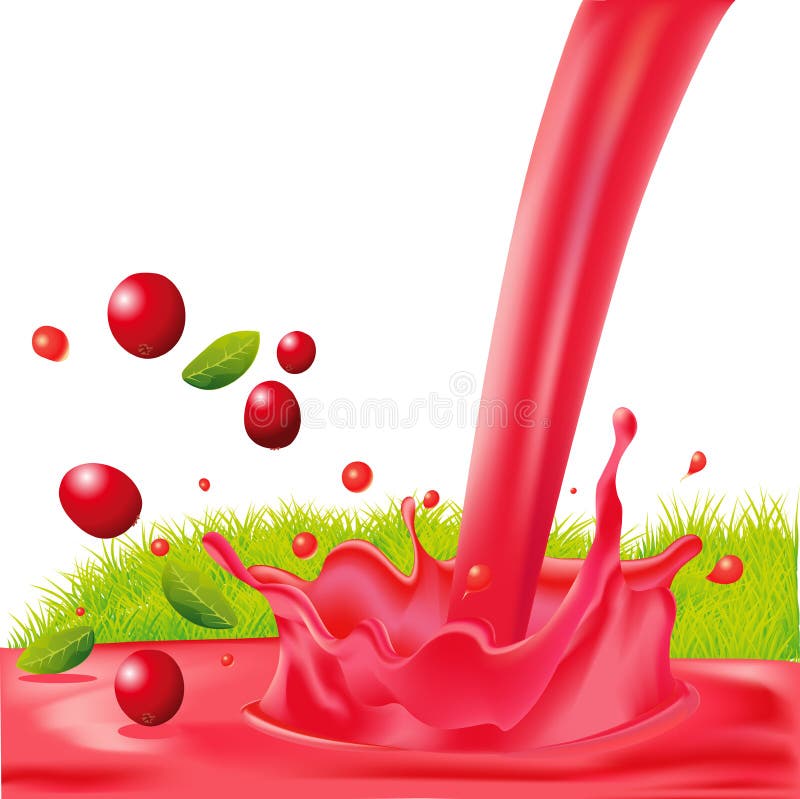 Red Splash of Cranberry Juice - Vector Illustration Stock Vector ...