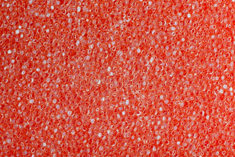 Red sponge stock image. Image of plastic, detail, washing - 49476581
