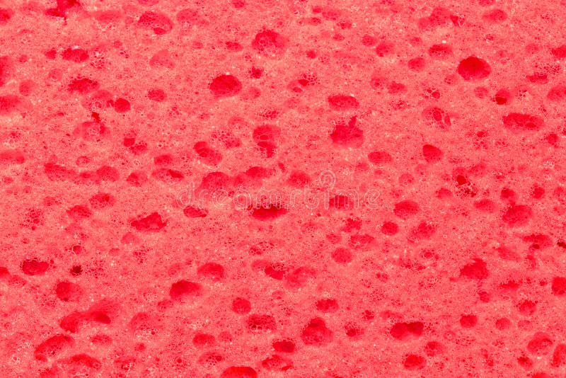Red sponge texture stock image. Image of sponge, backdrop - 109590091