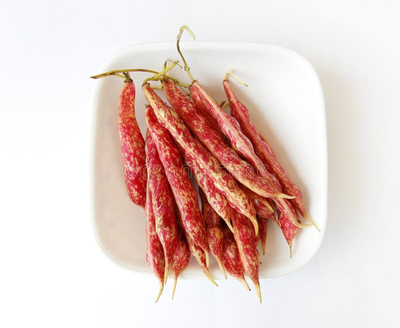 Red spotted beans on white stock image. Image of haricots - 5599787