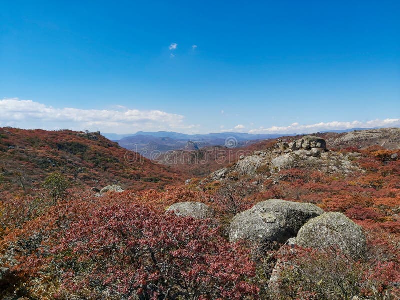 Red Spring in the Mountains Stock Image - Image of nature, tree: 202587319