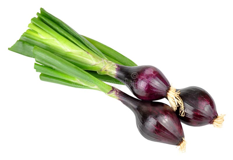 Red Spring Onions stock image. Image of food, three, vegetable - 59226709