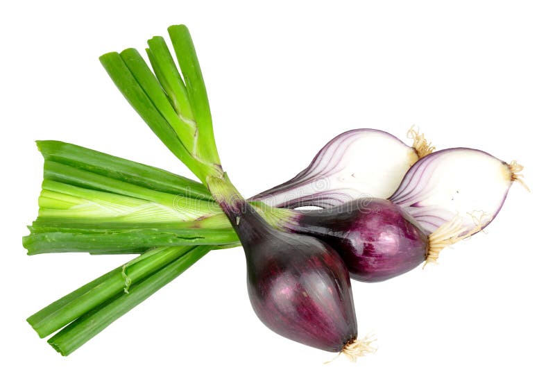 Red Spring Onions stock image. Image of food, three, vegetable - 59226709