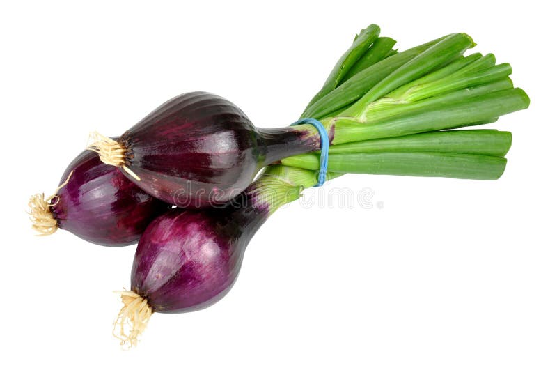 Red Spring Onions stock image. Image of vegetable, flavour - 59226819