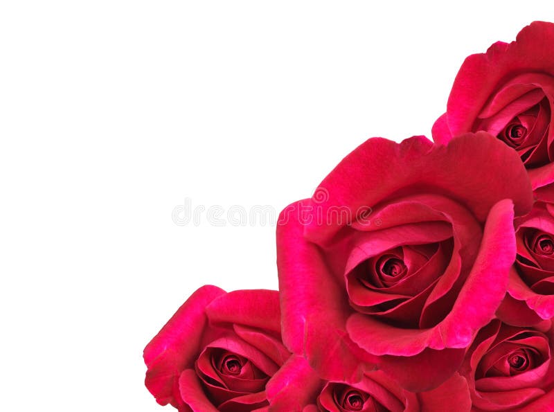 130,869 Spring Flower Border Stock Photos - Free & Royalty-Free Stock ...