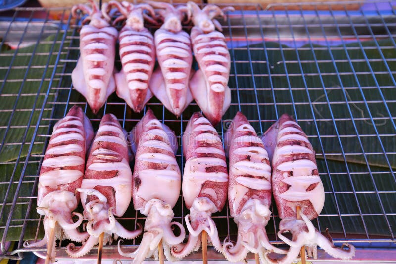 Red Squids Closeup, Natural Background Stock Photo - Image of culture ...