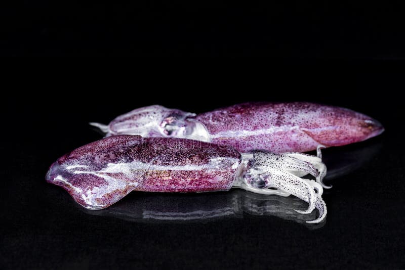 Red squids closeup stock image. Image of food, fresh - 214264169