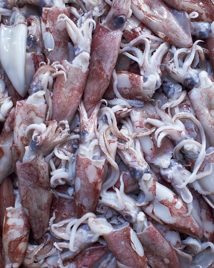 Red Squids Closeup, Natural Background Stock Photo - Image of culture ...