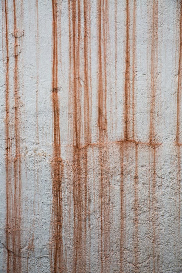 Blood Smear Stained Photos - Free & Royalty-Free Stock Photos from ...