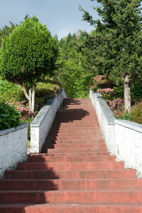 Red stairs stock image. Image of tree, interior, trees - 37737815