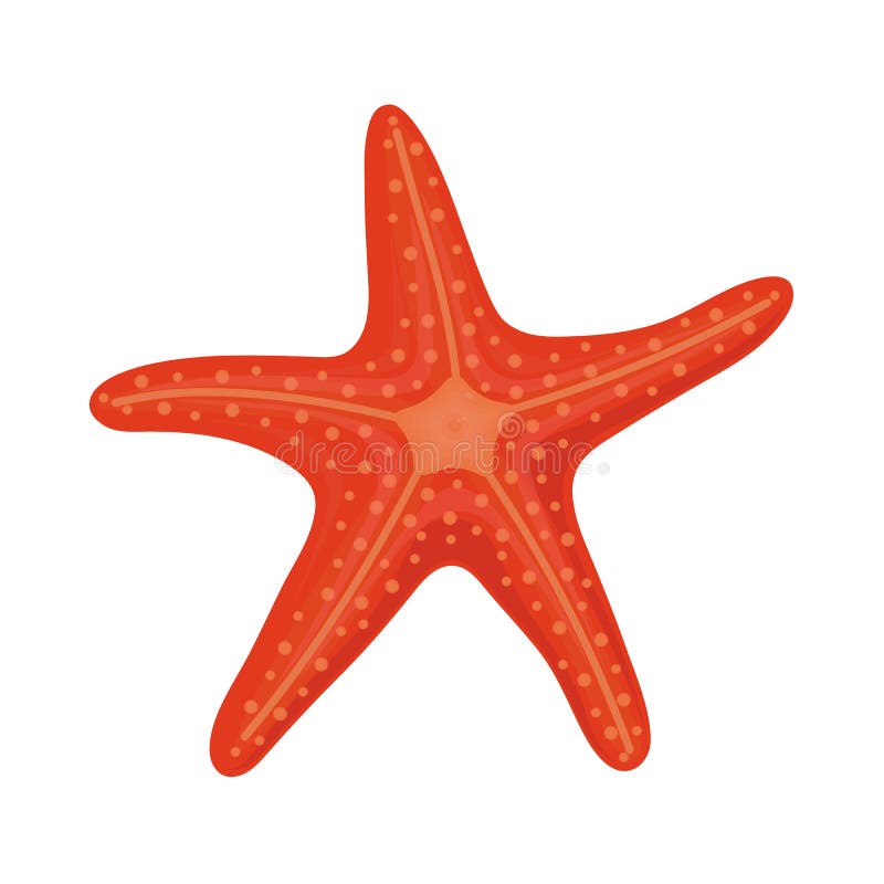 Cartoon Starfish White Background Stock Illustrations – 4,201 Cartoon ...