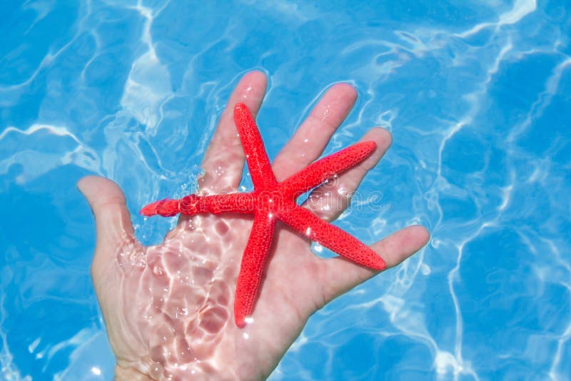 Red Starfish in Human Hand Floating Stock Image - Image of copyspace ...