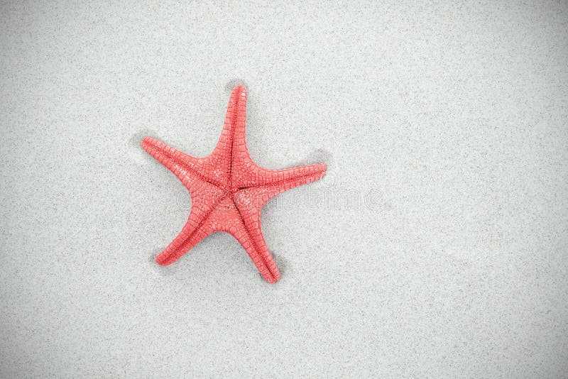 Red Starfish on Sand, Vignette Effect Stock Image - Image of close ...