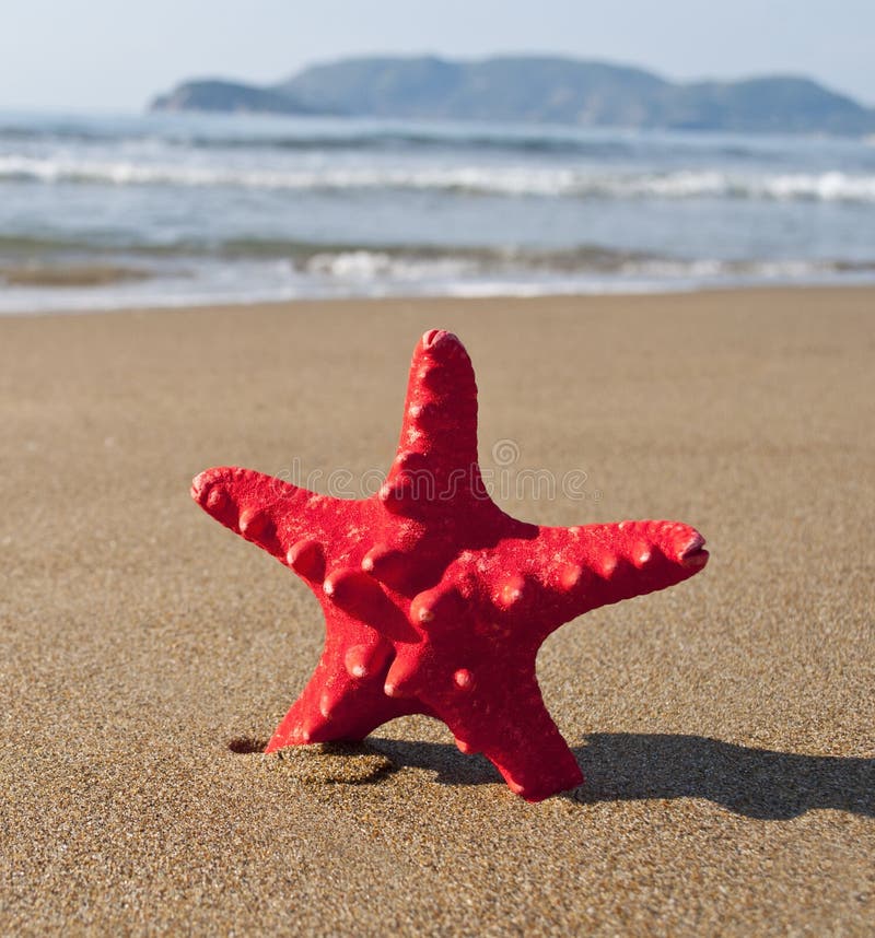 Red Starfish on Sunny Tropical Beach Stock Photo - Image of paradise ...