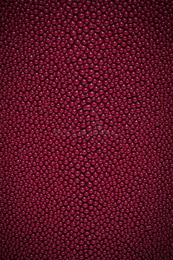 Red stingray skin texture stock photo. Image of mouse - 45045758