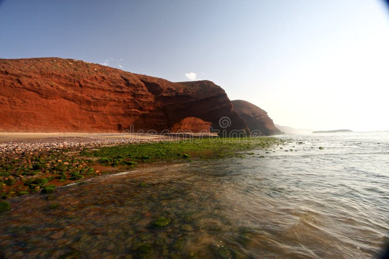 Algae at shore stock photo. Image of colours, stone, natural - 9856374
