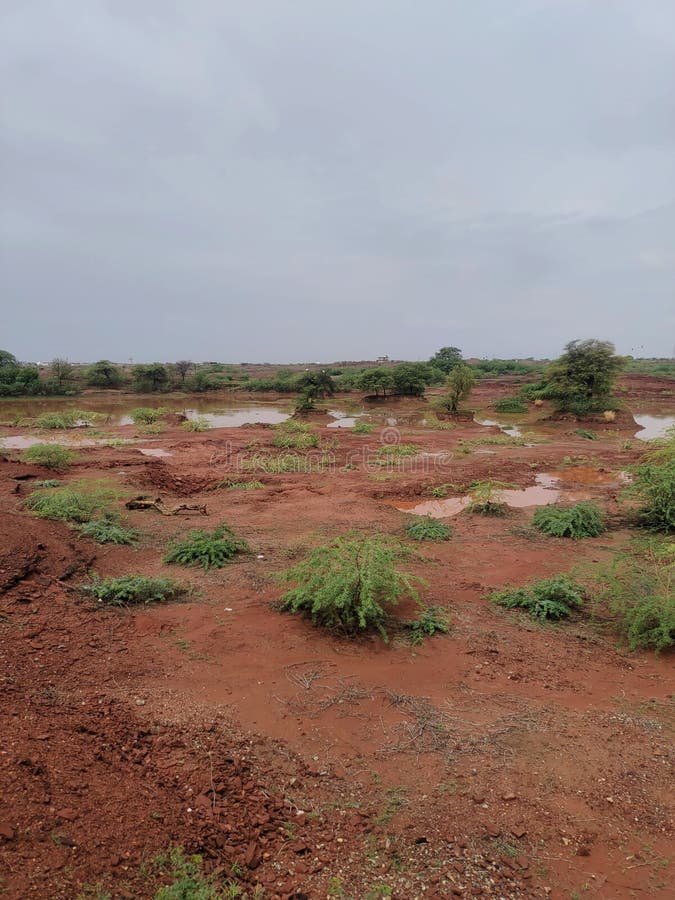 Red Stoney Soil with Greenery Stock Photo - Image of pokaran, india ...