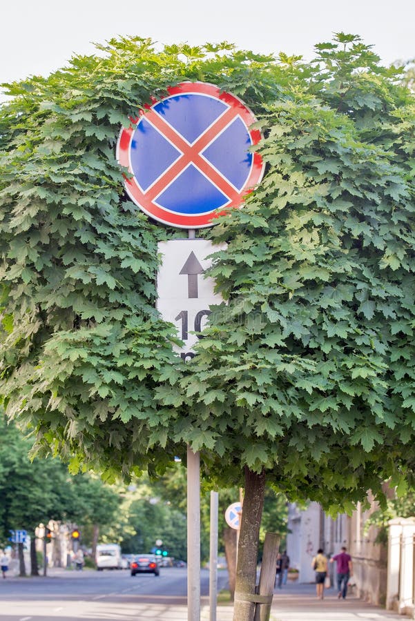Red stop sign with trees stock photo. Image of drive - 74245994