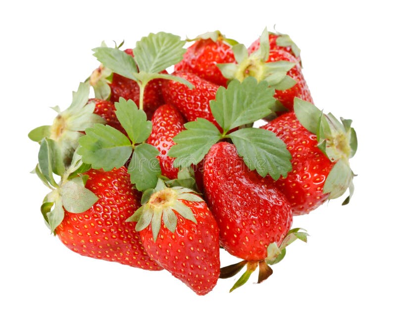 Red strawberries stock image. Image of group, ripe, harvest - 14337463