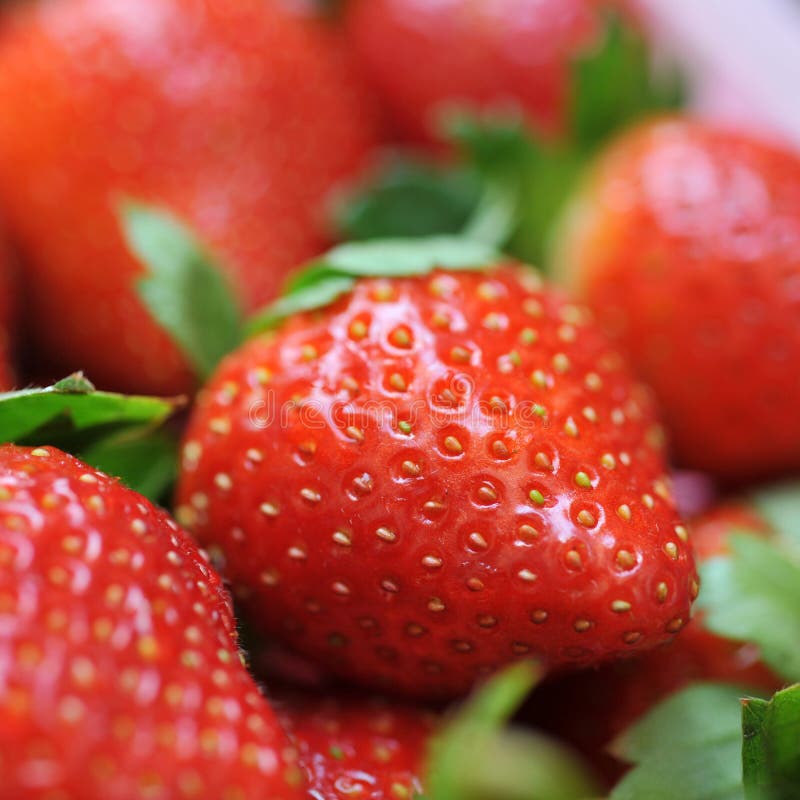 Red strawberries stock photo. Image of healthy, green - 23020534