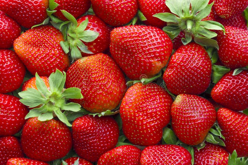 Red Strawberries Background Stock Photo - Image of sweet, strawberry ...