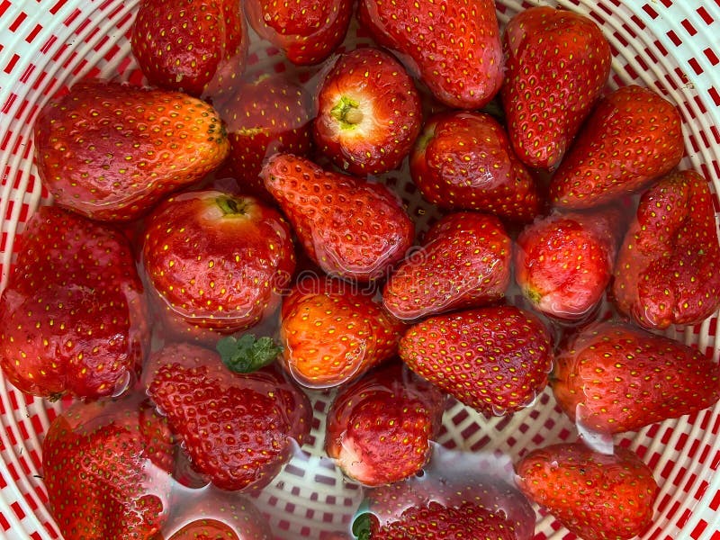 Red Strawberries Soaked in Water Stock Image - Image of nutrition ...