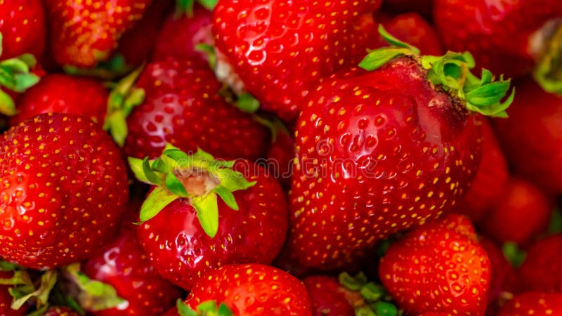 Red Strawberries with Visible Details. Background or Texture Stock ...