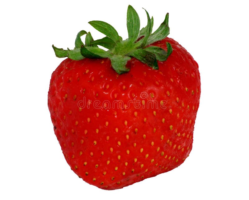 A red Strawberry stock image. Image of crop, fresh, healthy - 113317