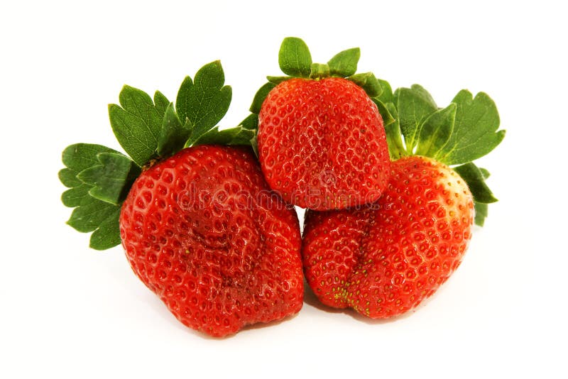 Red Strawberry Picture. Image: 16618735