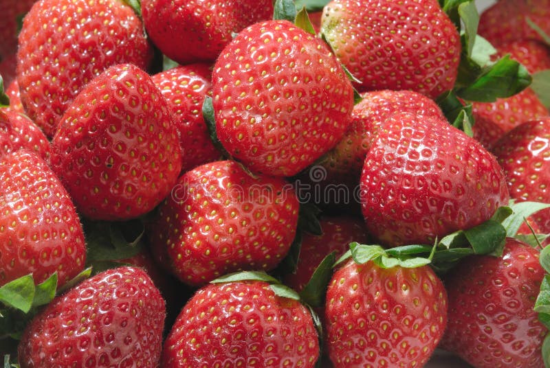 Red strawberry stock photo. Image of fresh, lots, sweet - 5612598