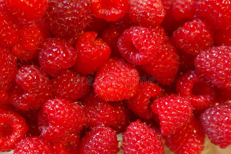 Red Strawberry stock photo. Image of raspberries, fruits - 82991752