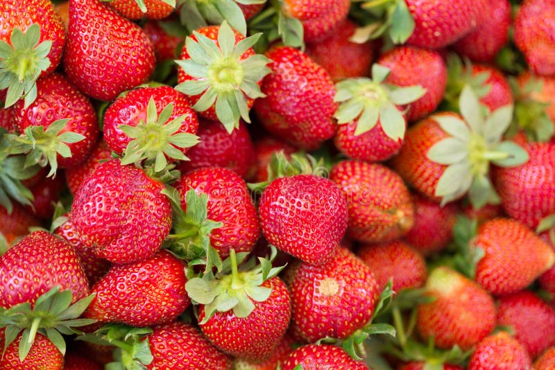 Red strawberry stock image. Image of macro, organic, fruit - 56151227