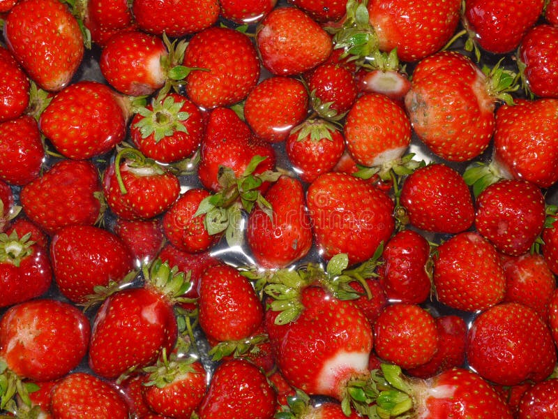 Red strawberry background stock photo. Image of color - 37084308